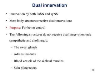 Comprehensive Overview of the Nervous System and Its Functions | PPT
