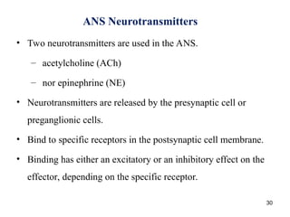 Comprehensive Overview of the Nervous System and Its Functions | PPT