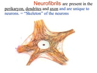 Nervous system 1. Introduction to nervous system.ppt