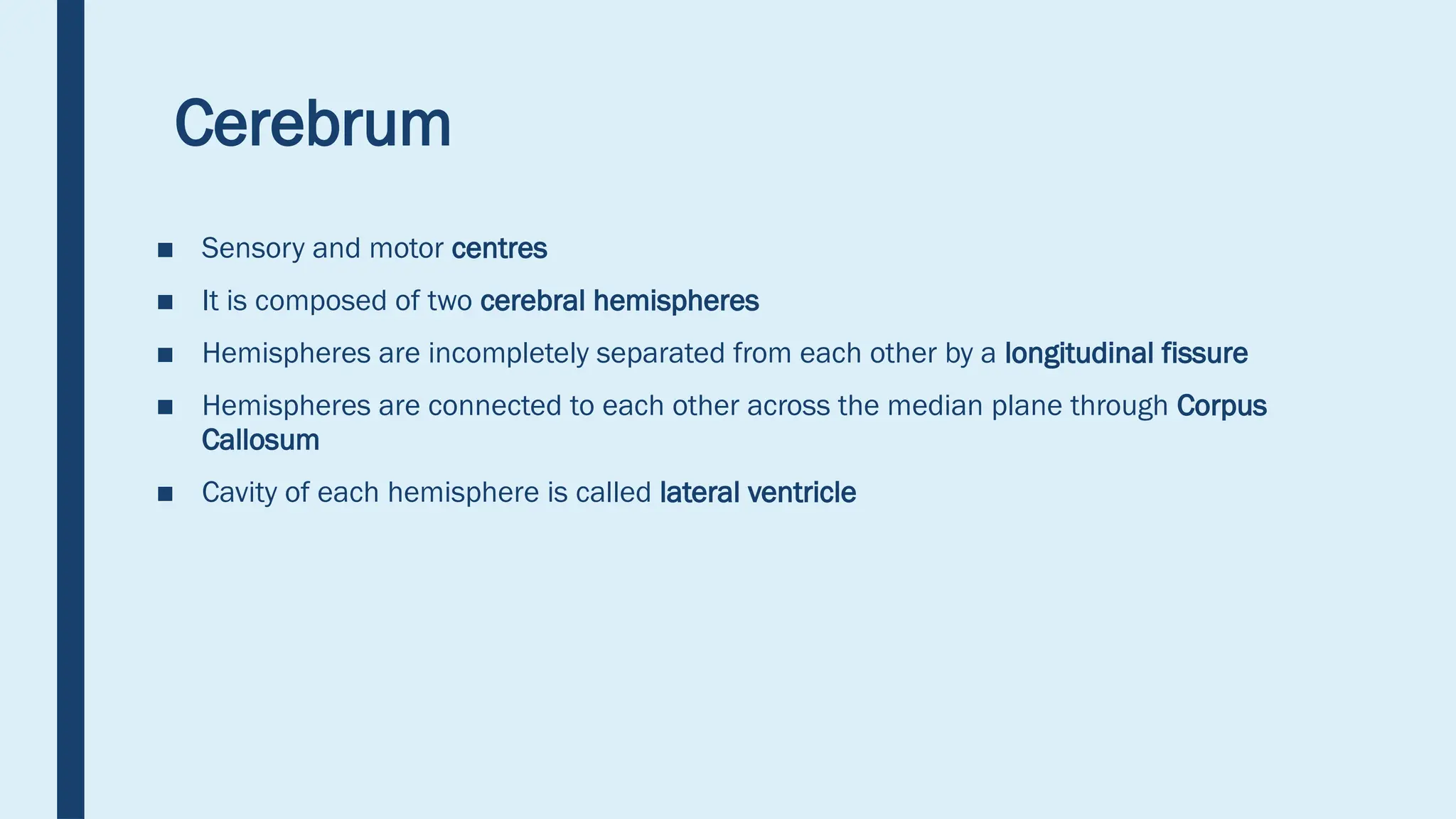 nervous system classification of neurons, classification of nervous ...