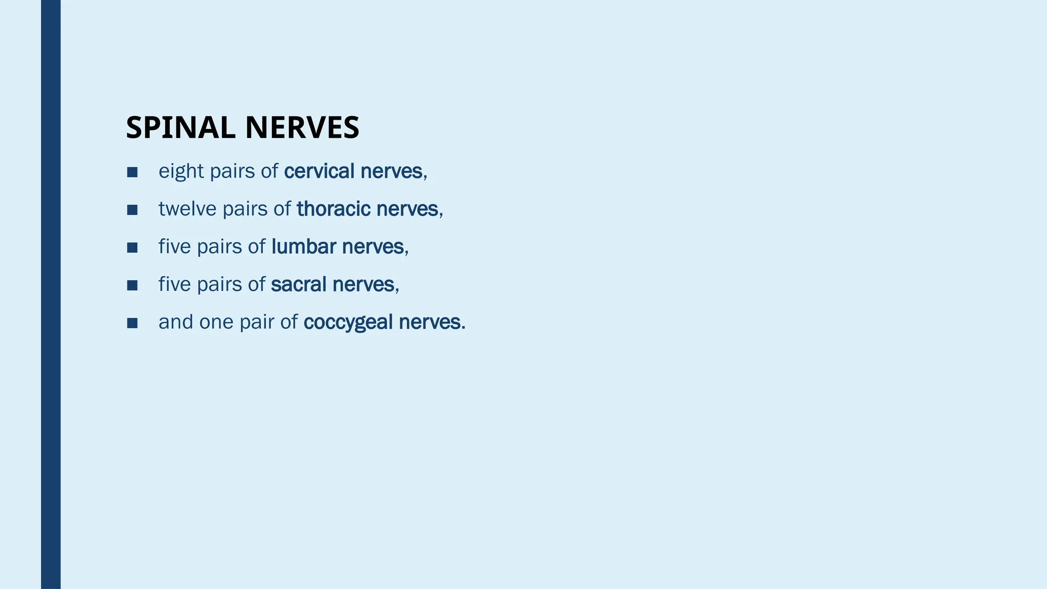 nervous system classification of neurons, classification of nervous ...