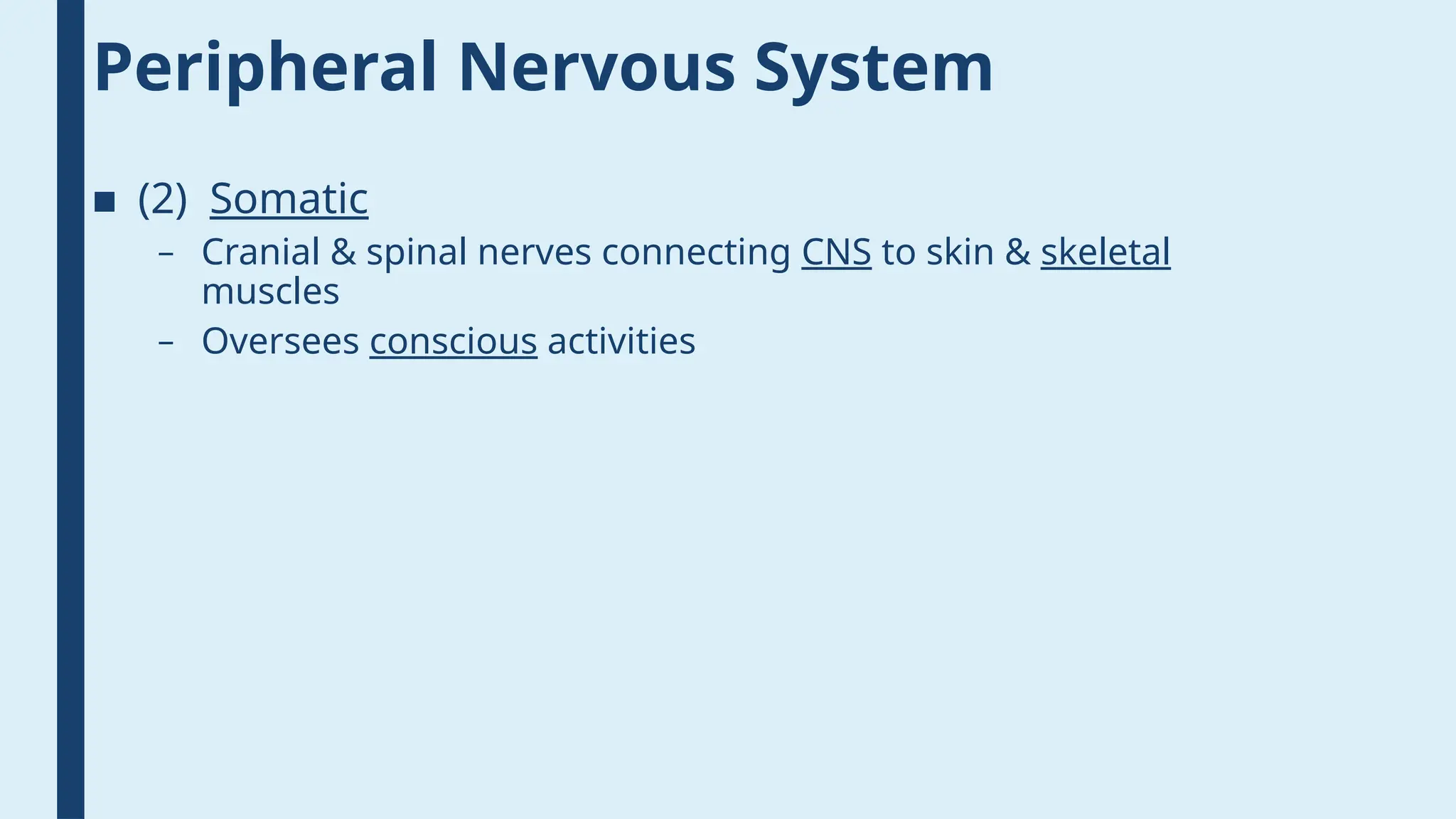 nervous system classification of neurons, classification of nervous ...