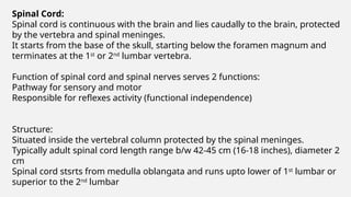 NERVOUS SYSTEM11 by Gulshan athbhaiya.pptx