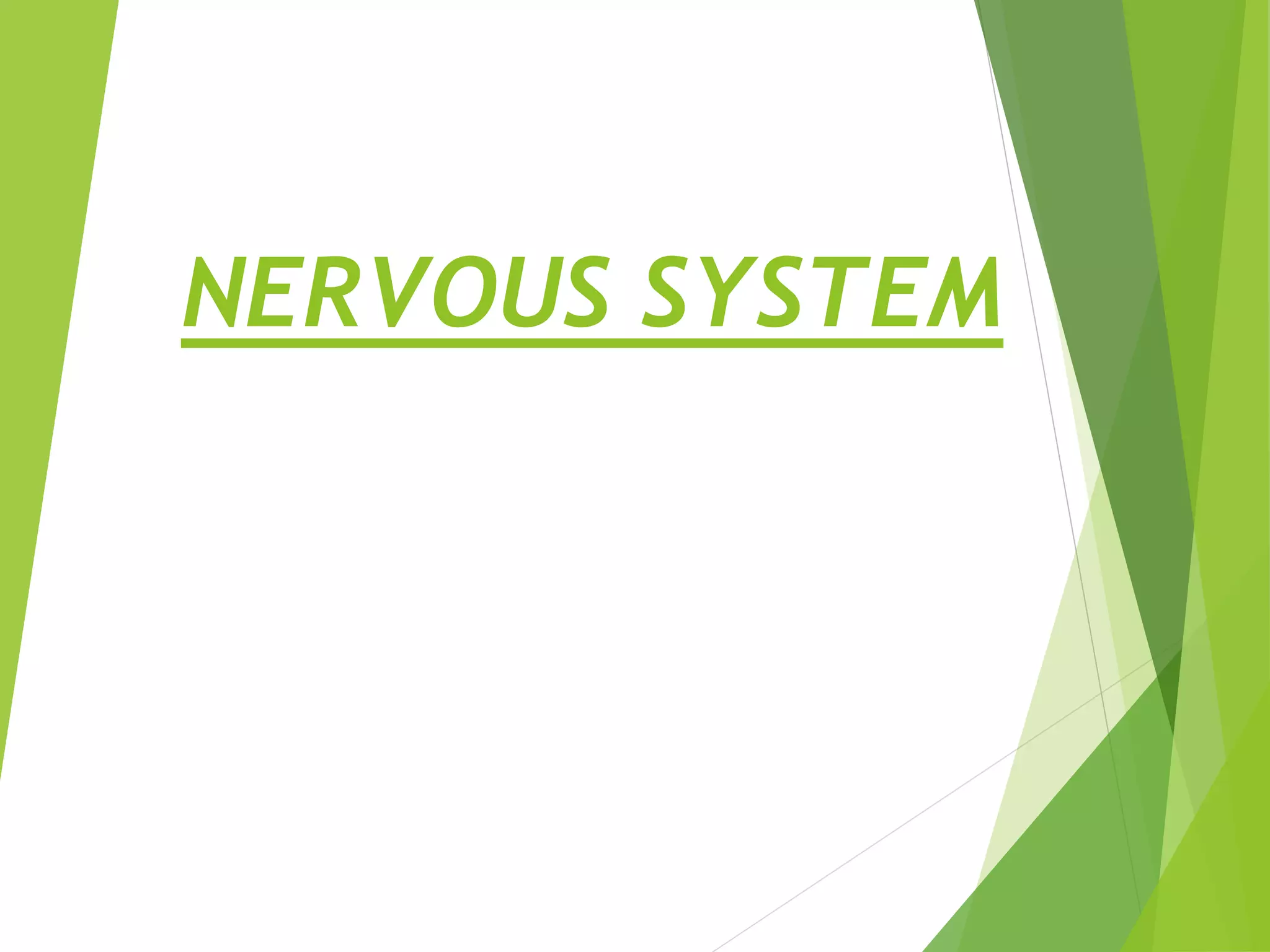 Nervous system ( CENTRAL NERVOUS SYSTEM ) | PPT