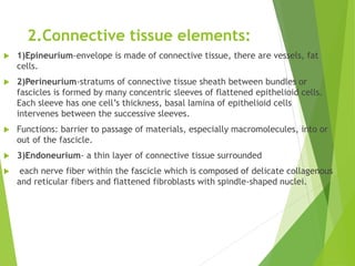 Nervous system ( CENTRAL NERVOUS SYSTEM ) | PPTX