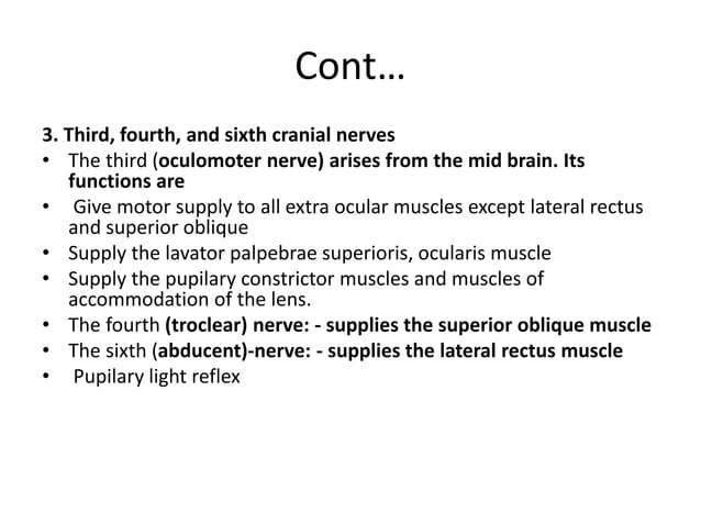 Nervous System to be unbiased and objective | PPT