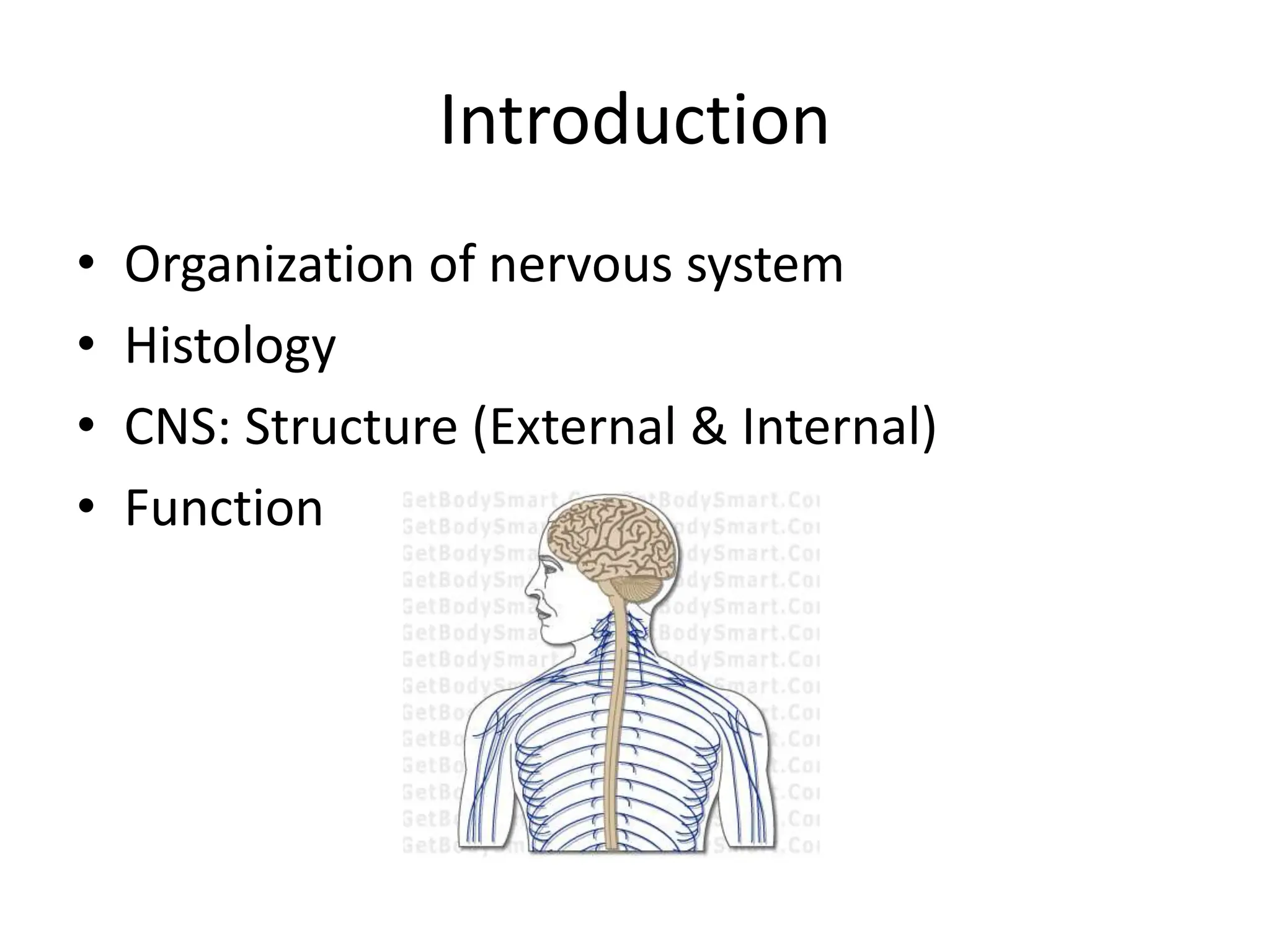 Nervous system anatomy and physiolog.ppt