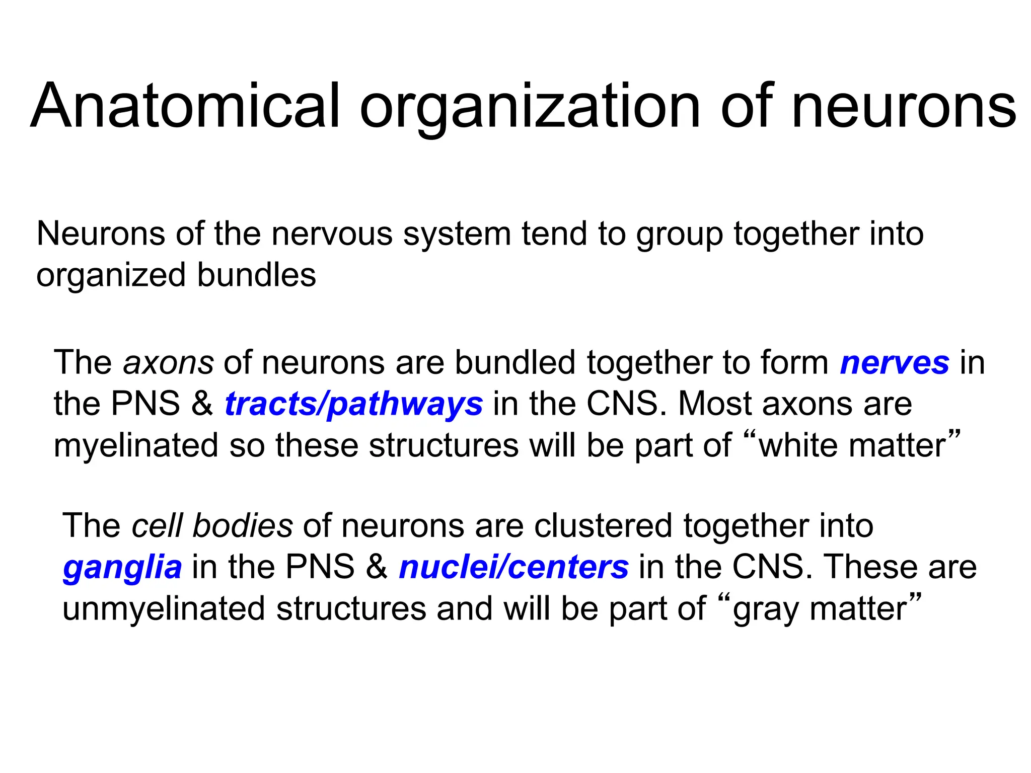 Nervous system anatomy and physiolog.ppt