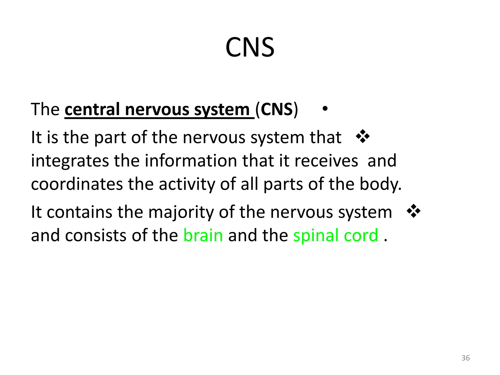 Nervous system anatomy and physiolog.ppt