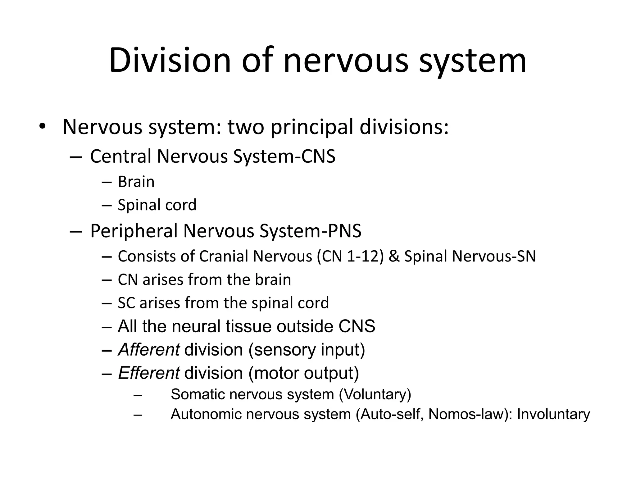 Nervous system anatomy and physiolog.ppt