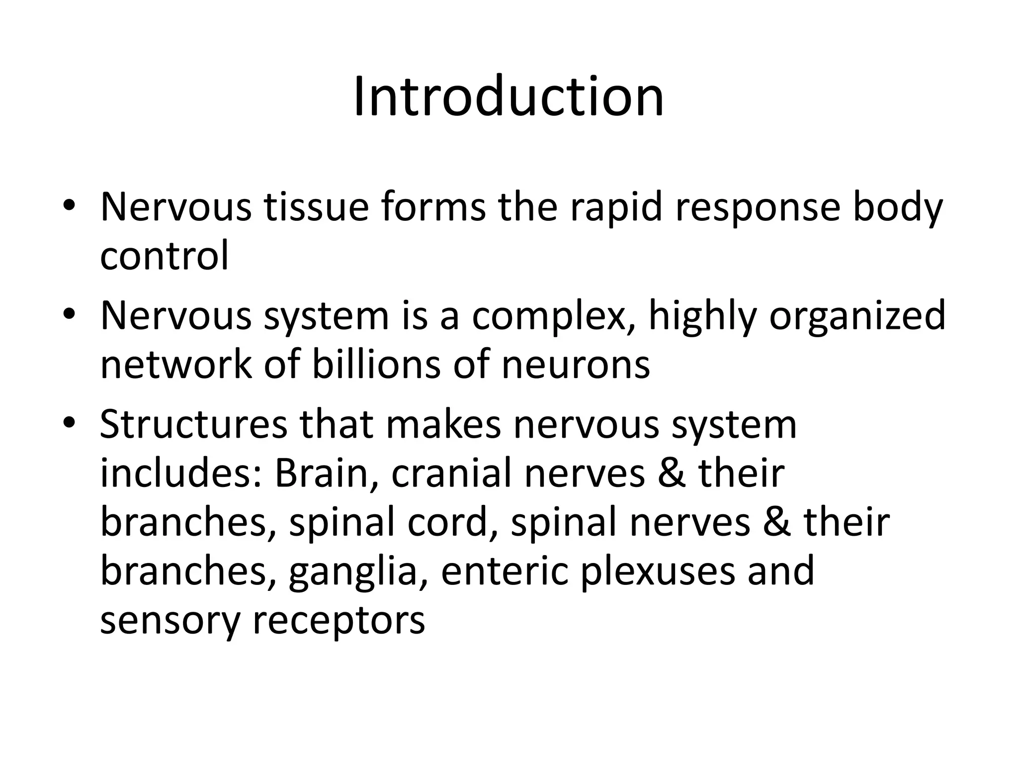 Nervous system anatomy and physiolog.ppt