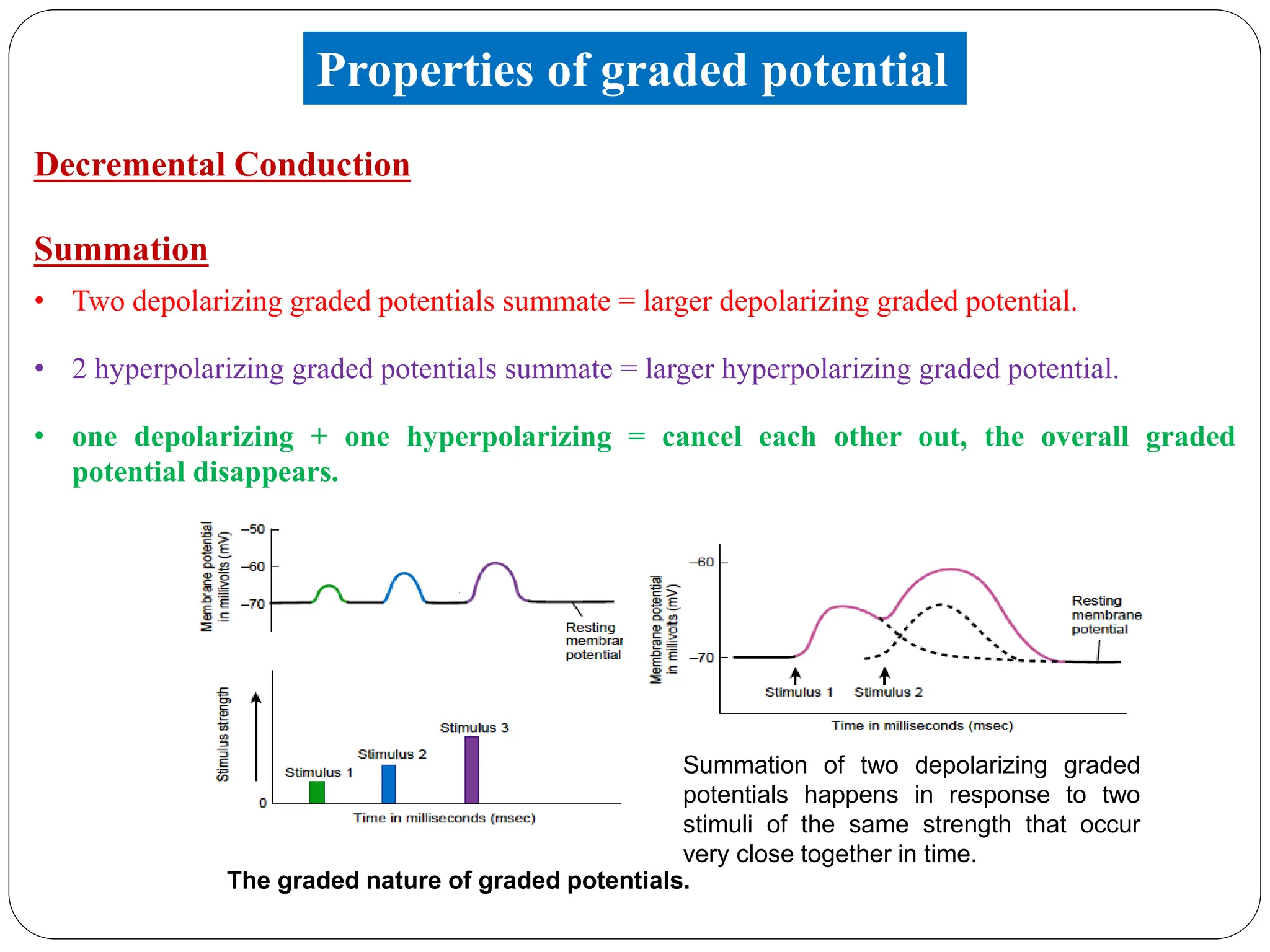 Nervous system 2023.pdf detailing propagation through myelinated and ...