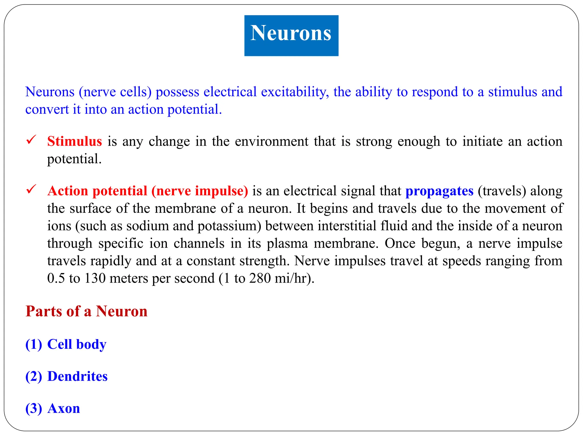 Nervous system 2023.pdf detailing propagation through myelinated and ...