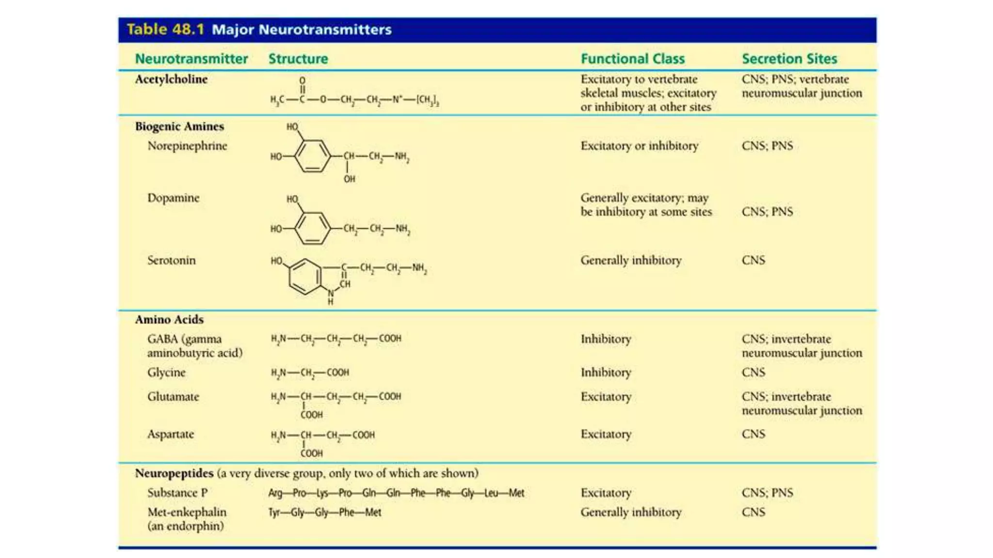 Nervous system 3; Synapses and Neurotransmitters | PPTX