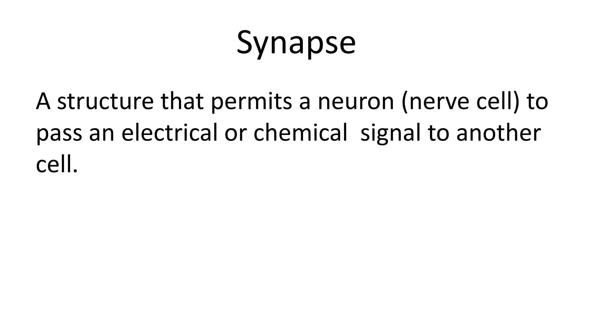 Nervous system 3; Synapses and Neurotransmitters | PPTX