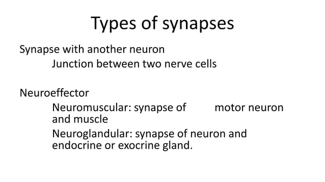 Nervous system 3; Synapses and Neurotransmitters | PPTX | Brain and ...