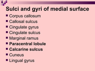 Nervous system terminal brain | PPT