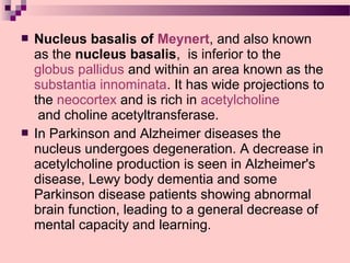 Nervous system terminal brain | PPT