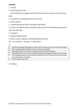 NervousSystemActivitySheet.pdf