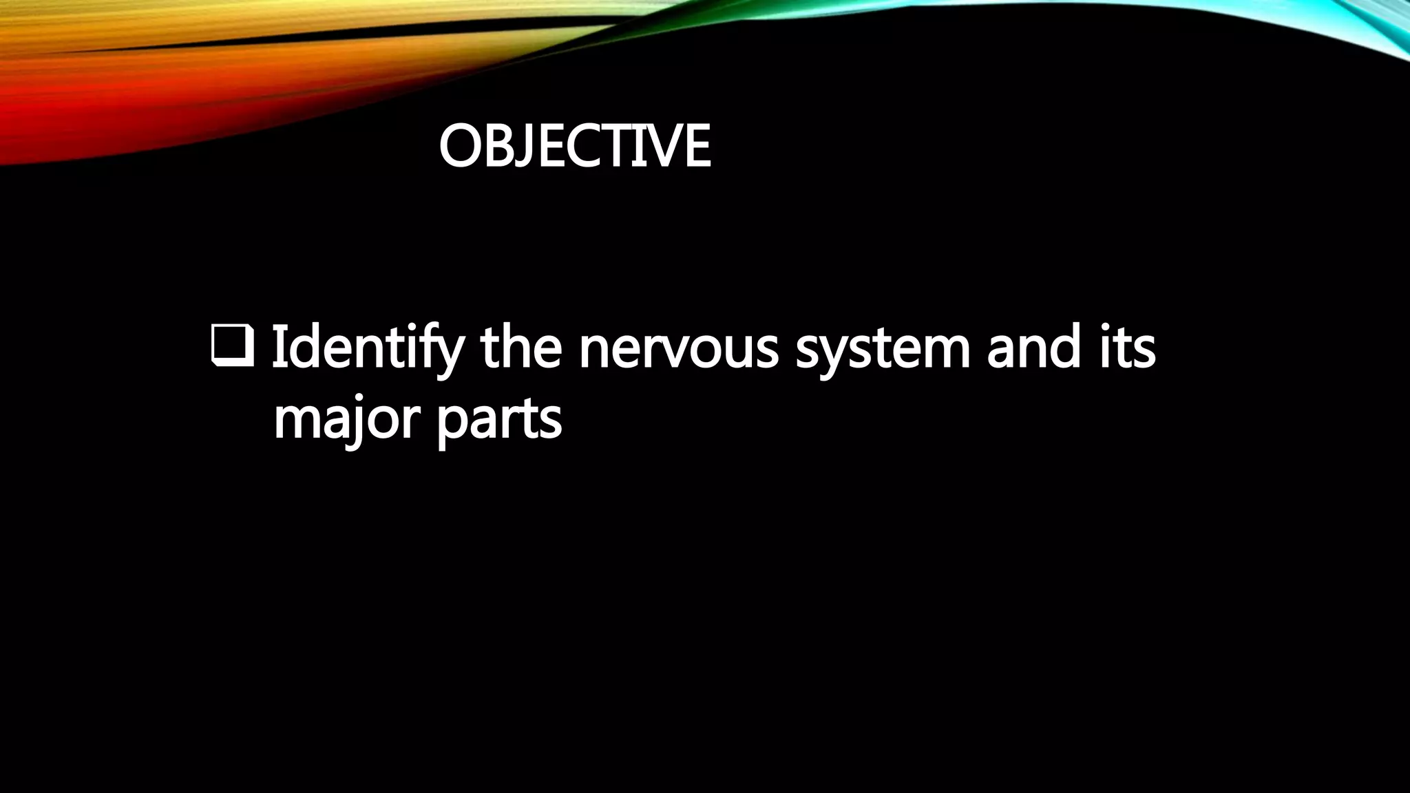 Nervous system and its major parts (lesson 6) | PPTX
