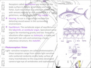 Nervous system and sense organs | PPT