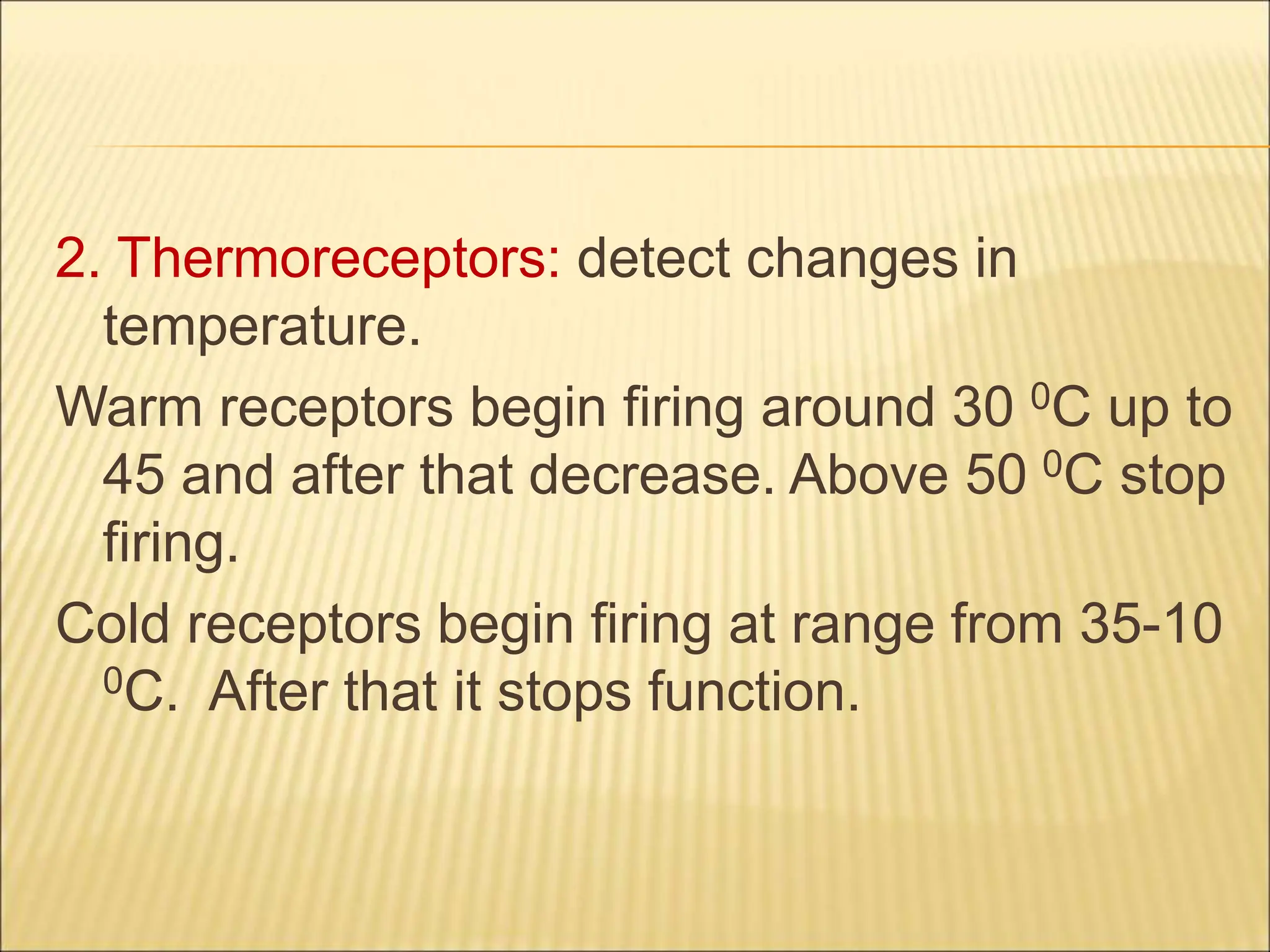 Nervous System and Senses, Lec5.ppt