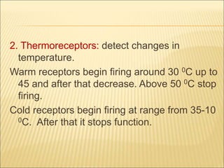 Nervous System and Senses, Lec5.ppt