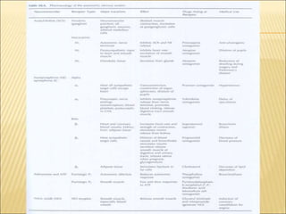Nervous System and Senses, Lec5.ppt