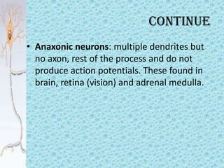 Nervous System Types of nervous system_ P.pdf