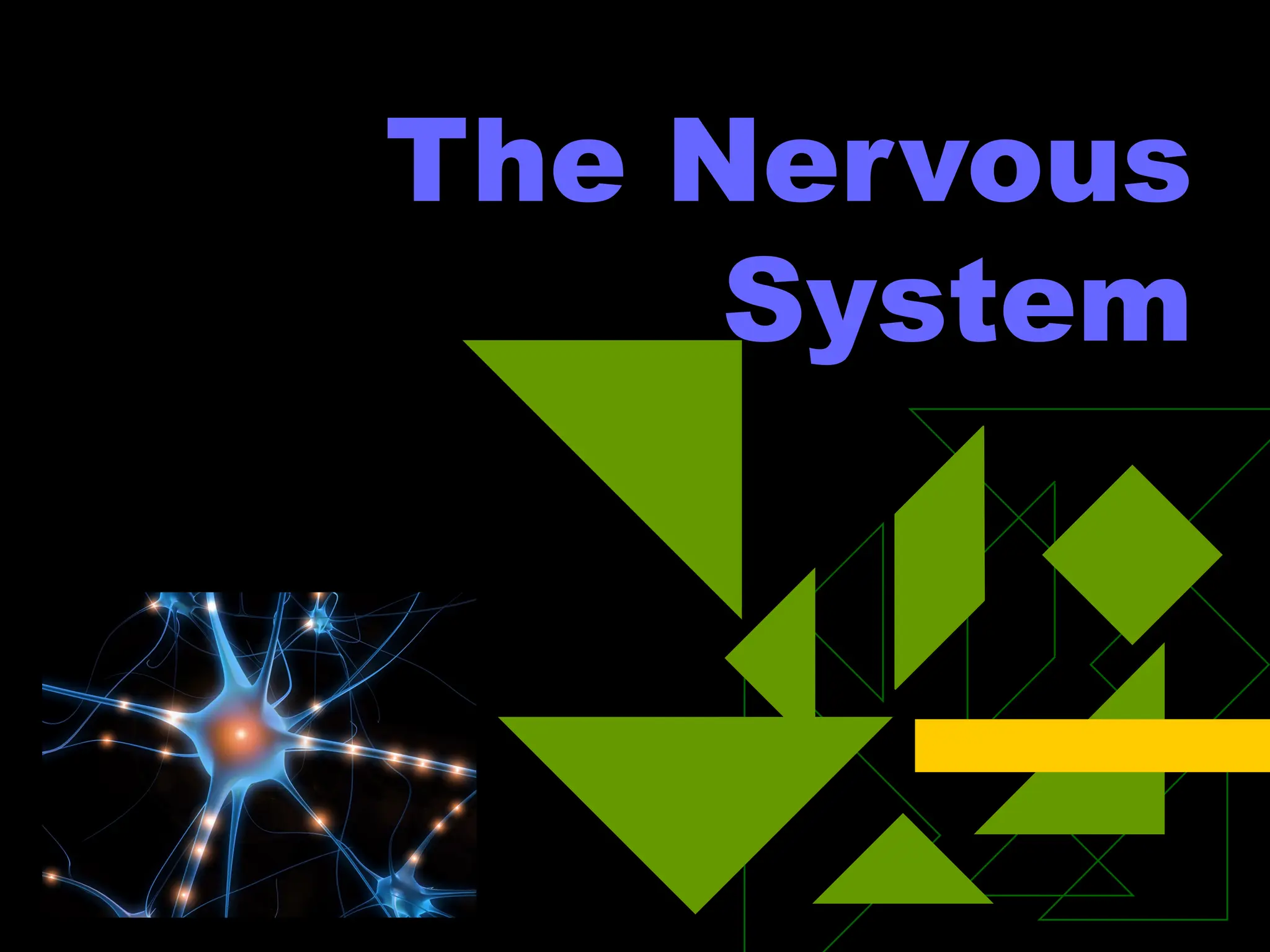 Central Nervous System in line with Aerodrome Rescue and Firefighting ...