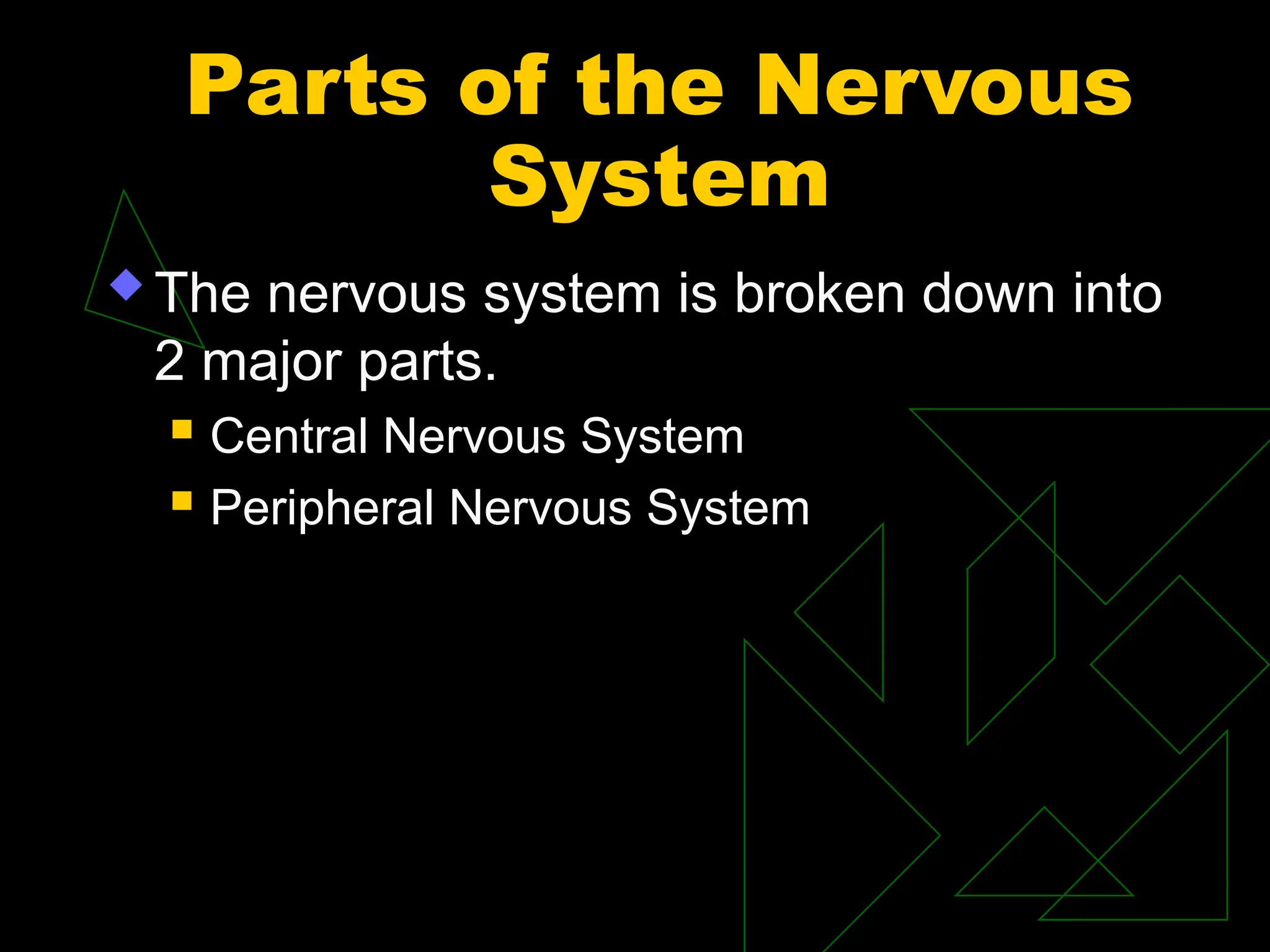 Central Nervous System in line with Aerodrome Rescue and Firefighting ...