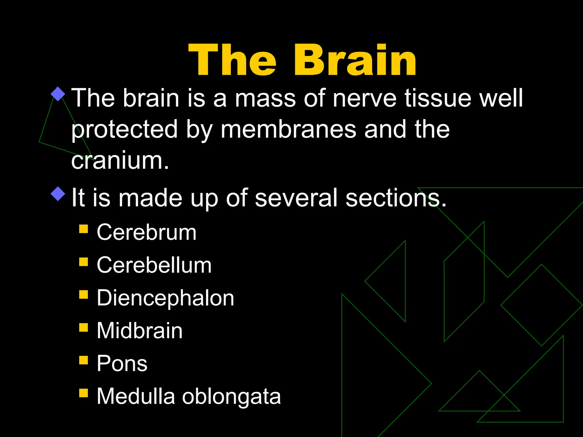 Central Nervous System in line with Aerodrome Rescue and Firefighting ...