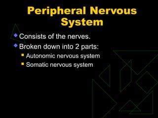 Central Nervous System in line with Aerodrome Rescue and Firefighting ...
