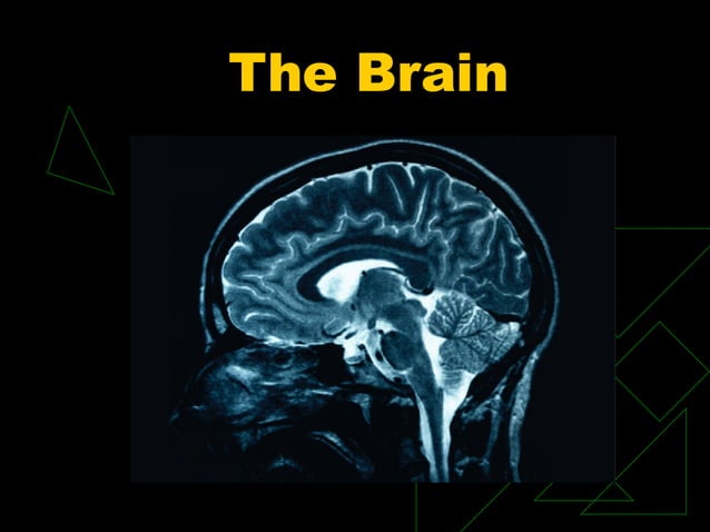 Central Nervous System in line with Aerodrome Rescue and Firefighting ...