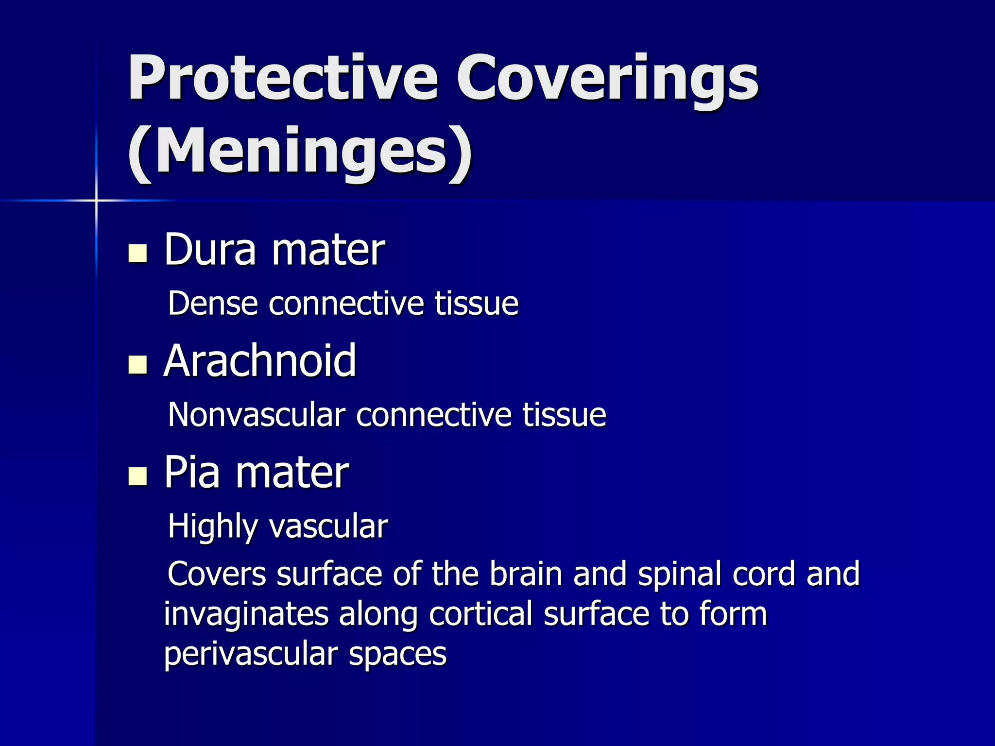 Nervous System Brain and Cranial Nerves.ppt