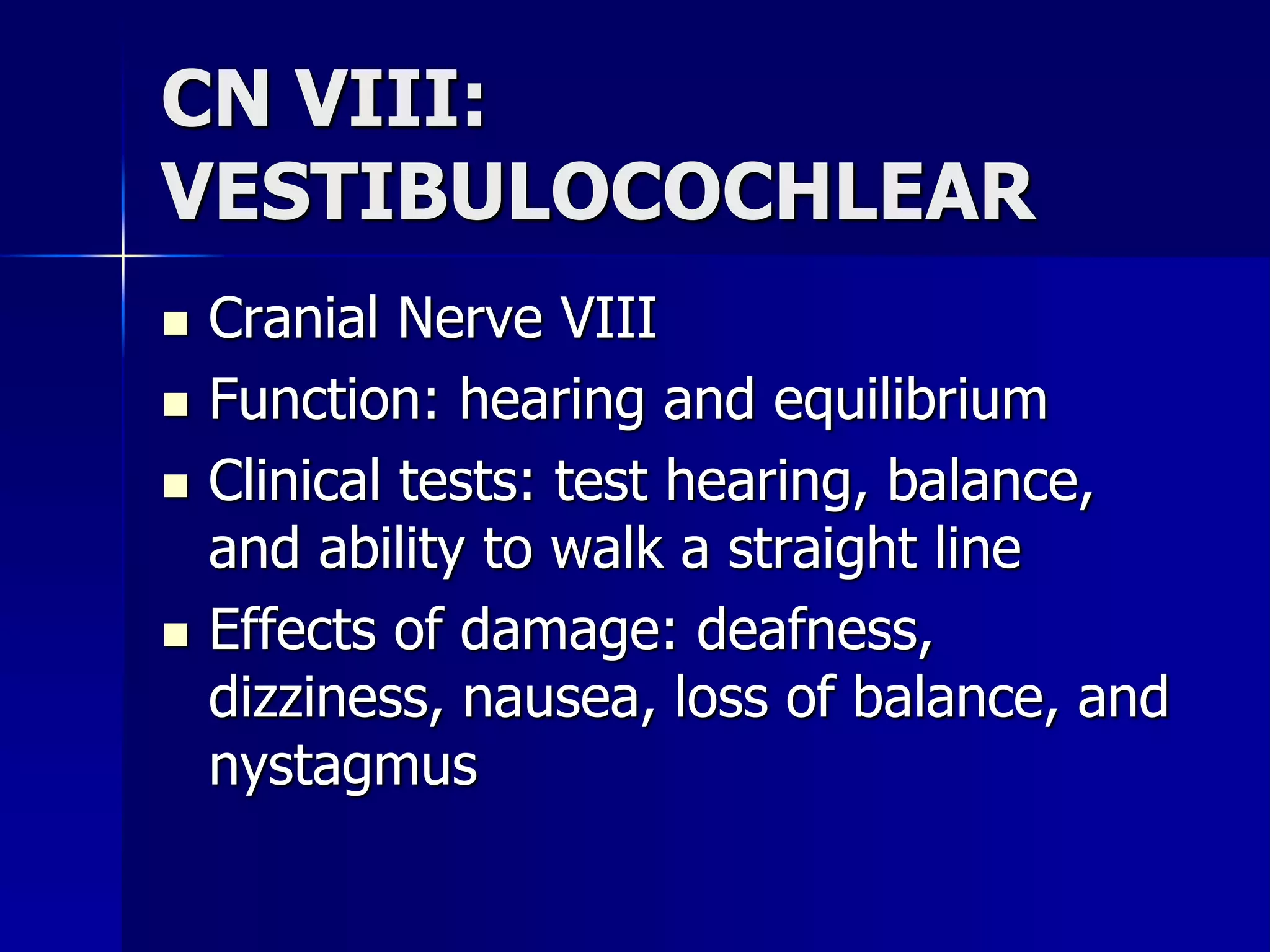Nervous System Brain and Cranial Nerves.ppt