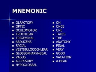 Nervous System Brain and Cranial Nerves.ppt