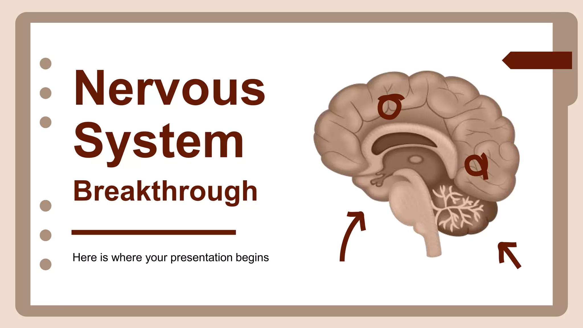 Nervous System Breakthrough by Slidesgo (1).pptx