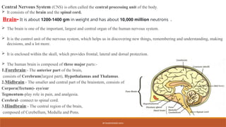 Nervous system (HAP) by @Dharmendra sahu.pptx