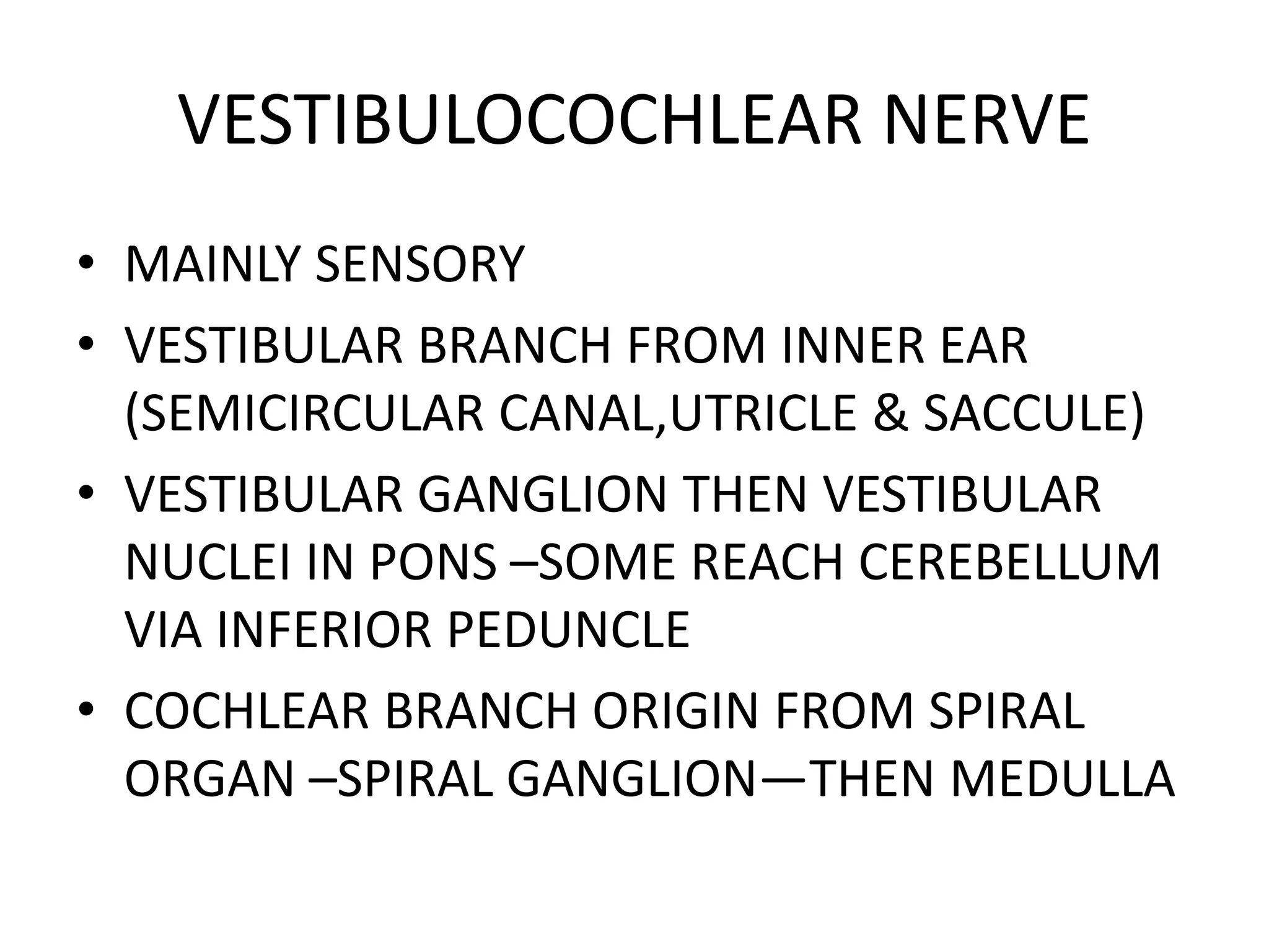 NERVOUS SYSTEM class 3.pptx