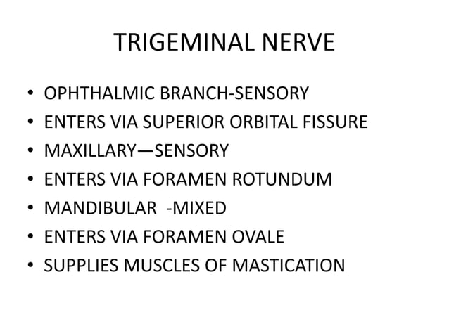 NERVOUS SYSTEM class 3.pptx