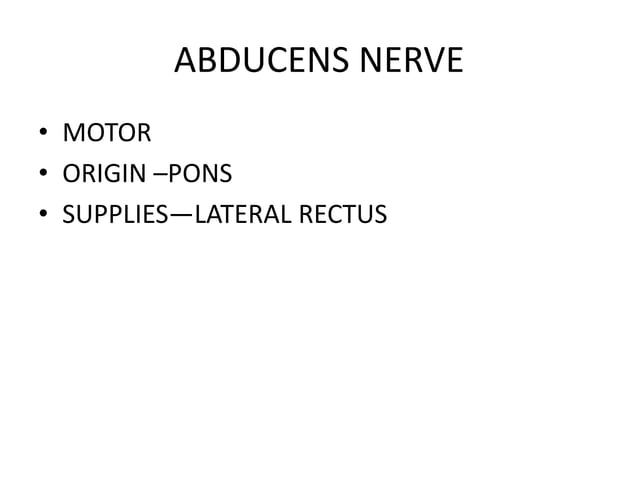 NERVOUS SYSTEM class 3.pptx