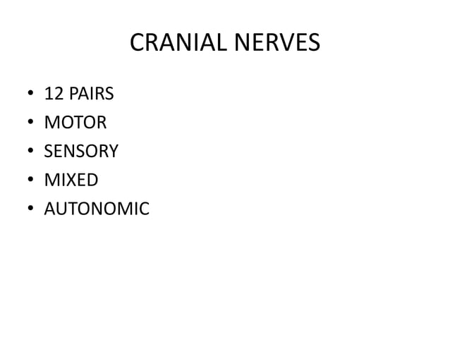 NERVOUS SYSTEM class 3.pptx