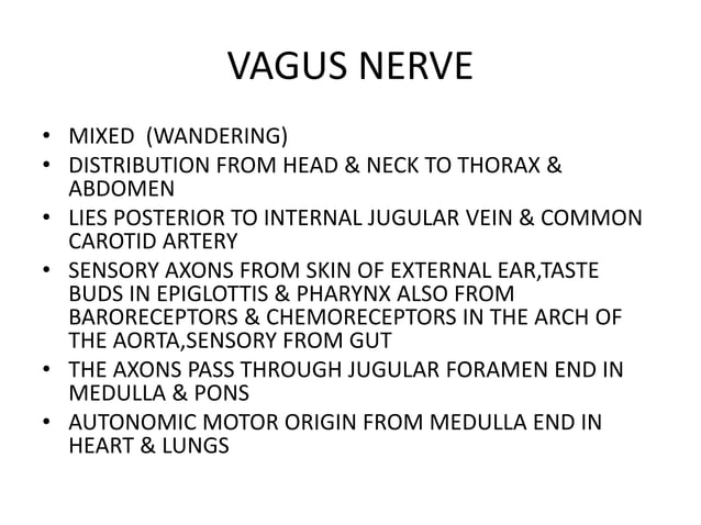 NERVOUS SYSTEM class 3.pptx