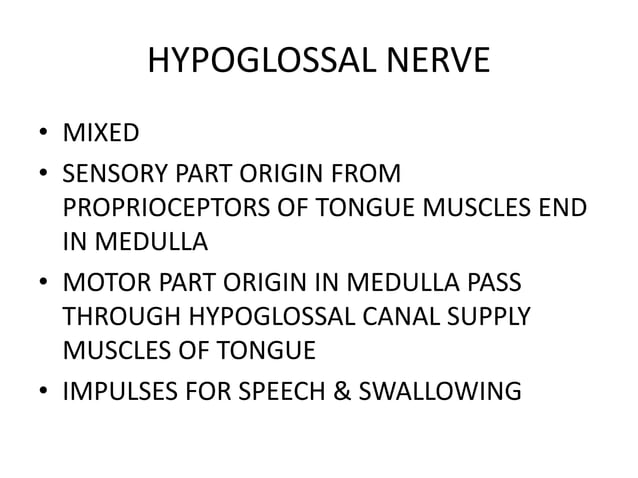 NERVOUS SYSTEM class 3.pptx