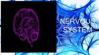 Nervous system class 5 | PPTX