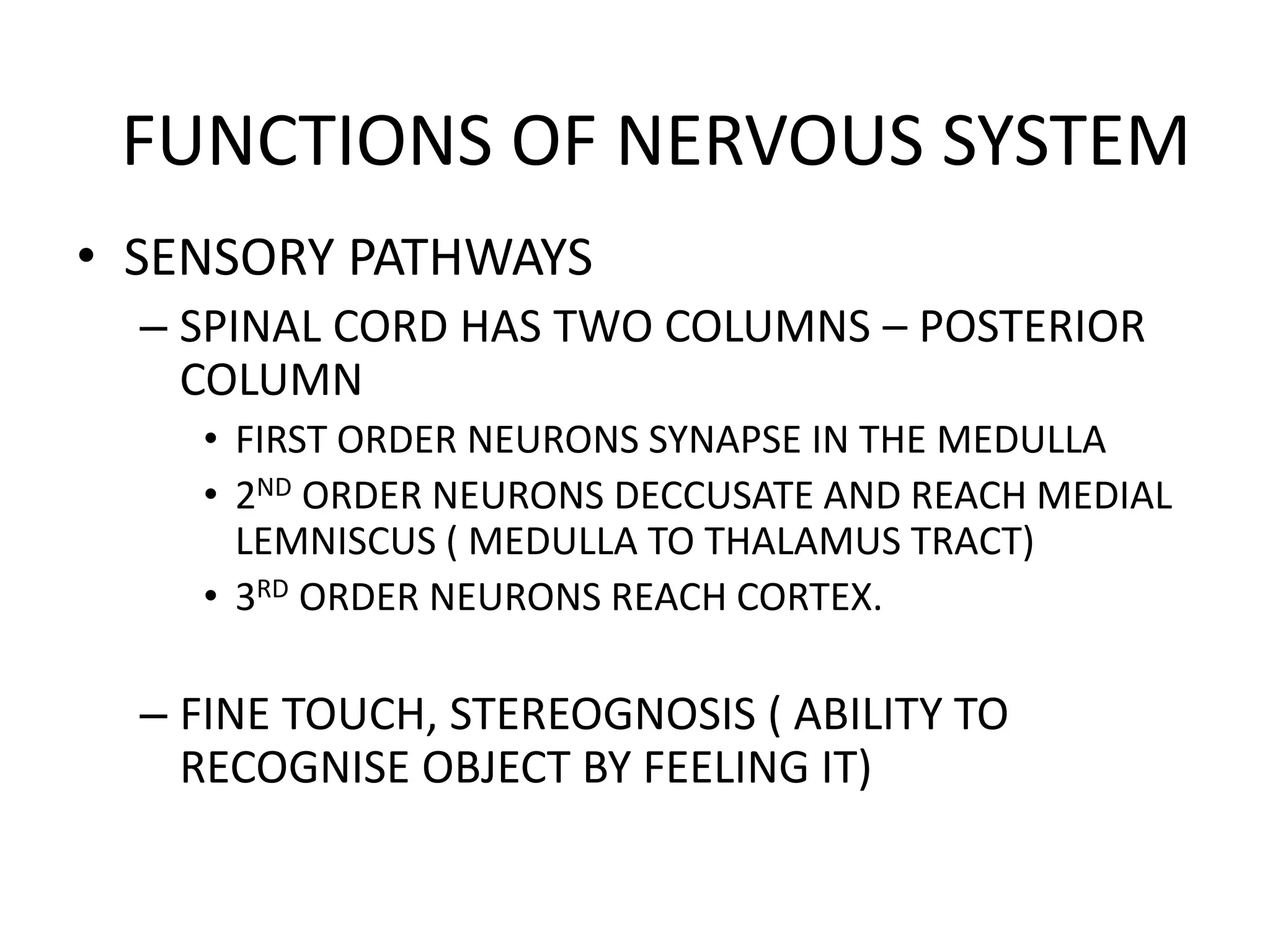 NERVOUS SYSTEM CLASS 6.pptx