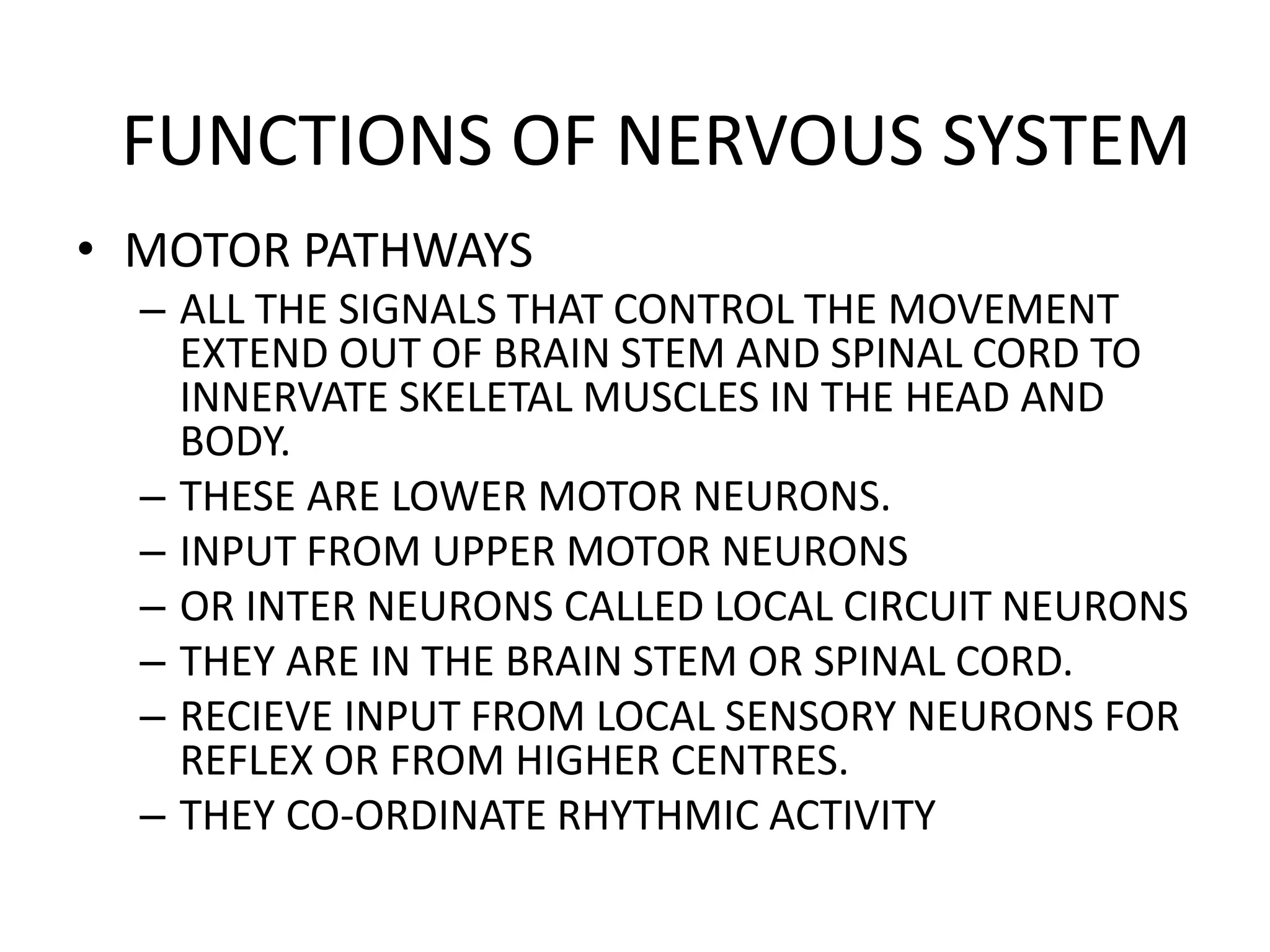 NERVOUS SYSTEM CLASS 6.pptx