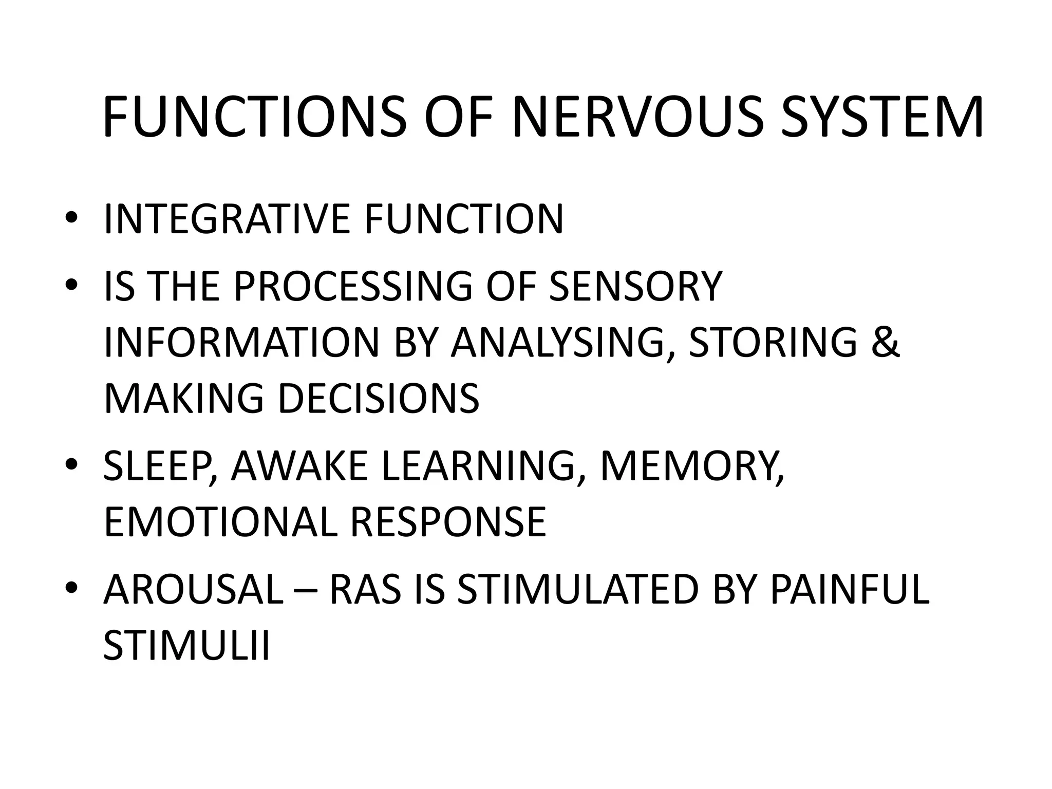 NERVOUS SYSTEM CLASS 6.pptx