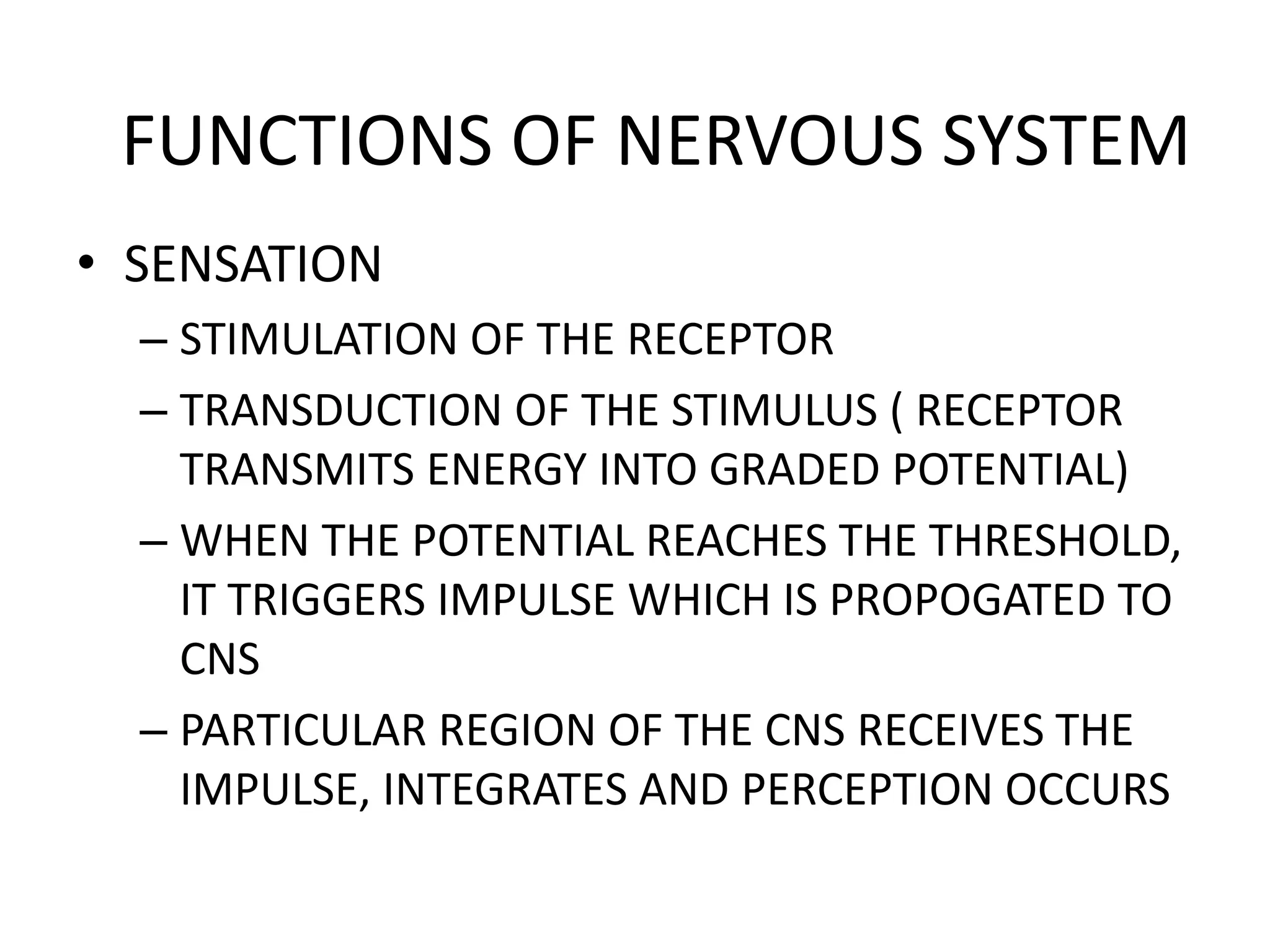 NERVOUS SYSTEM CLASS 6.pptx